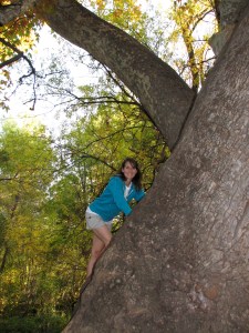 Trees – Stephanie Hrehirchuk – Author